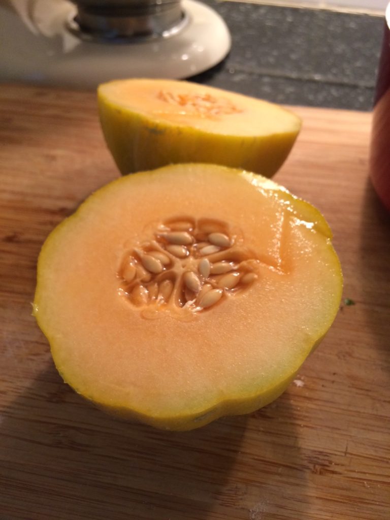 A Toast to Minnesota's Heritage Melon, Recipe Included - My Northern Garden
