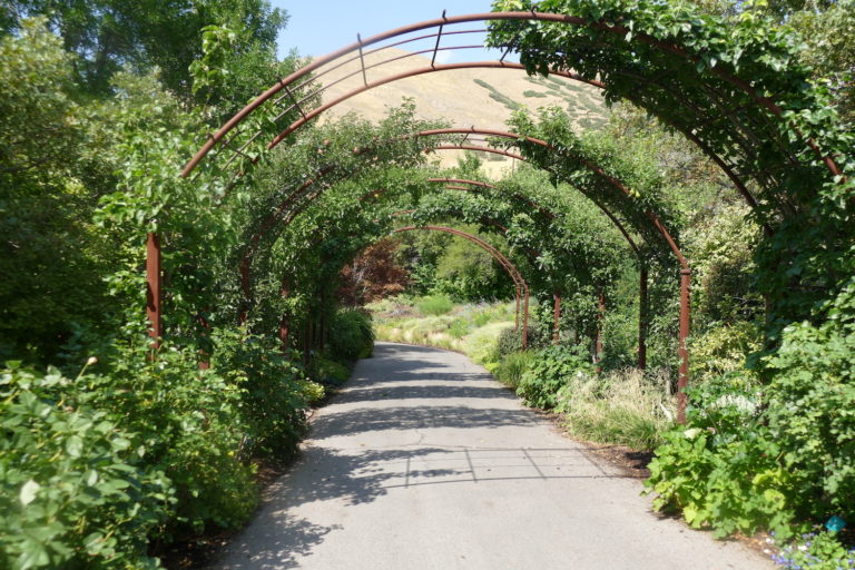 Garden Travel: Red Butte Garden - My Northern Garden